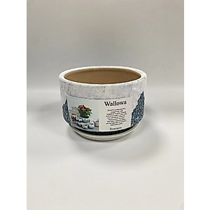 Wallowa Flowerpots, Ceramic Succulent Planter/ Plant Pot/ Flower Pot/ Bonsai Pot