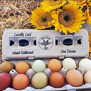 25 Egg Cartons – Adorable Vintage Design for your Farm Fresh Eggs, 100% Recycled Paper Cardboard, Sturdy & Reusable, Holds Small to XL Chicken Eggs