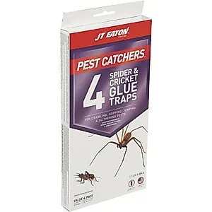 TRAP SPIDER & CRICKET PK