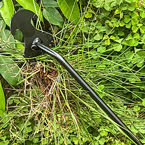 Doubleggs Weed Puller Tool, 4 Teeth Durable Garden Weed Pulling Tool, Portable Garden Weeder Tool with Gloves for Vegetable Gardening, Backyard Farm Weeding Tool (11.81 inch / 30 cm)