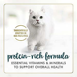 PURINA Fancy Feast Grilled Wet Cat Food, Grilled Turkey Feast in Gravy, Wet Cat Food with No Artificial Preservatives or Colors, 3 Ounce Can (Pack of 12)