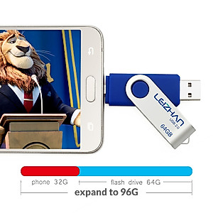 Leizhan Micro USB Flash Drive 128GB Thumb Drive Micro OTG Memory Stick Pendrive USB 2.0 Jump Drive Android Memory Stick U Disk, Blue