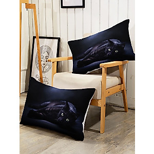 Datura home Cat Bedding Comforter Set Black in Dark 3D Digital Printed Pattern Quilt with 1 and 2 Pillowcases for Adult Kids Bedroom All Season(Black Twin), Twin 68x86inches