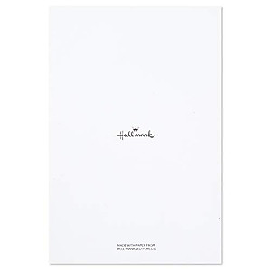 Hallmark Assorted Birthday Cards (Birthday Icons, 12 Cards and Envelopes)