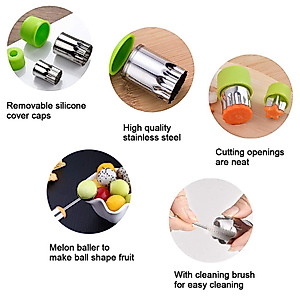 TIMGOU 12 Pcs Vegetable Fruit Cutter Shapes Set with Melon Baller Scoop and Cleaning Brush, Fruit and Mini Cookie Stamps Mold for Kids Crafts Baking Decorating Food-Green