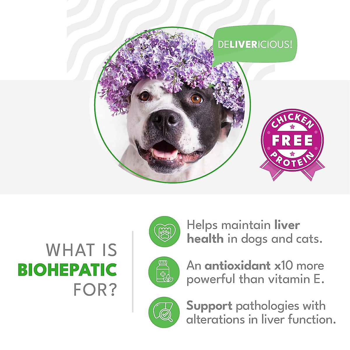 Natural Pet by FNL BIOHEPATIC Liver Support for Dogs and Cats, Dog Liver Supplement with Silymarin & Artichoke for Hepatoprotective Care, 100% Natural Ingredients