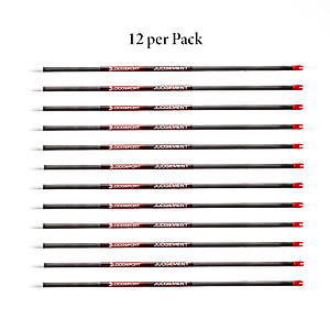 BLOODSPORT Judgement Bare Shaft Lightweight Precise Durable Carbon Hunting Arrow for Compound Bow - 31" Length, 244" Standard-Diameter, 001" Straightness, 12 Pack, 300 Spine