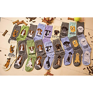 Foozys Unisex Crew Socks | Canine/Dog Collection | Golden Retriever