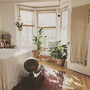 GLSATEMAN Artificial Bird of Paradise Flowers Rubber Strelitzia 32'in Long Stem Flower 3 Pcs,Suitable for DIY Home Decor Party Theme Display (Orange)