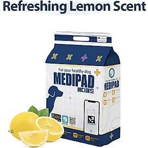 Ruord ScratchMe Super-Absorbent Waterproof Dog and Puppy Pet Training Pad, Housebreaking Pet Pad, 25-Count Large-Size,