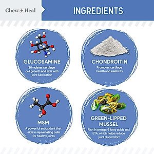 Chew + Heal Labs Liquid Glucosamine for Dogs Hip and Joint Supplement - 16 oz Bacon Flavored Advanced Mobility Support - Made with Glucosamine, Chondroitin, MSM, Turmeric, and Green Lipped Mussel