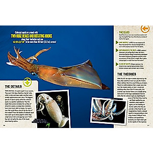 History's Mysteries: Curious Clues, Cold Cases, and Puzzles From the Past (National Geographic Kids)