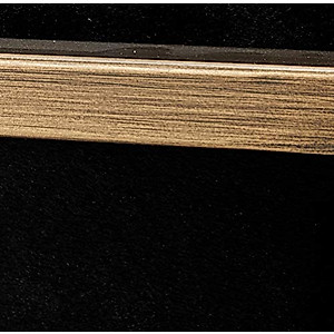 Christopher Knight Home Vassy Modern Velvet Ottoman Bench with Brass Finish, Black