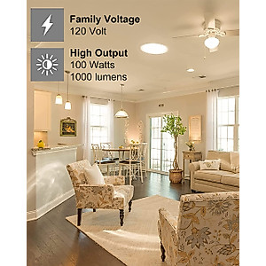 4 Pack JDE11 Bulb,120V 100W Halogen Candelabra Bulbs,T4 Mini Base JD E11 Bulb ,Dimmable 2700K Warm White（Replacement E11 LED bulb）,for Chandeliers,Candelabra,Ceiling Fan, Table Lamps, Cabinet Lighting