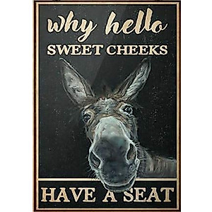 Retro Metal Tin Sign Black Donkey Why Hello Sweet Cheeks Have A Seat Vintage Sign for Coffee Home Wall Decor Funny Restroom Toilet 12x8 Inch
