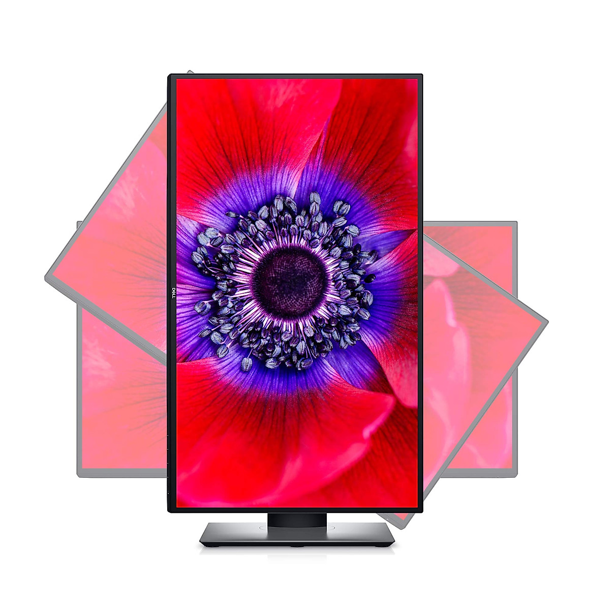 Dell U2520DR 25 Inch 1440p QHD UltraSharp, IPS Thin Bezel Monitor, HDMI, DisplayPort, USB-C, VESA Certified, Black