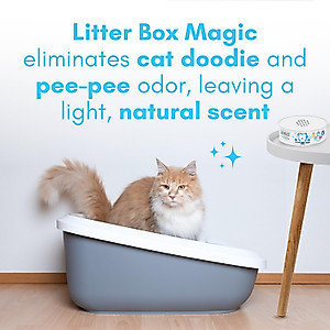 Litter Box Magic Cat Litter Deodorizer Jar (Fresh Scent, 16 Oz, Pack of 1) - Cat Litter Odor Absorber Gel In A Jar - Litter Box Pet Air Freshener - Litter Odor Eliminator to Freshen Air