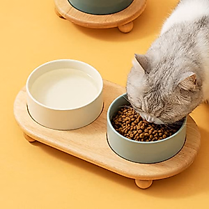 Havniva Ceramic Elevated Cat Food and Water Bowl , Kitty Bowl , Raised Cat Dish , Cat Feeder (2 x Cream White + Stand)