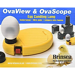 Brinsea Products Egg Scope for Monitoring The Development of The Embryo within The Egg