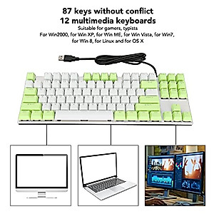 Mechanical Keyboard, 87 Keys Backlight Design Gaming Keyboard, 2 Color Injection Molding Floating Keycaps, Compact Keyboard with Dustproof Blue Switches for Gamers Typists Plug and Play(Green White)