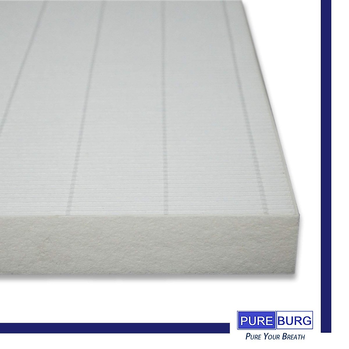 PUREBURG FP-A60U Replacement True HEPA Filter Compatible with Sharp FZ-A60HFU fits Sharp Plasmacluster FP-A60UW FP-A60U Air Purifier,H13 Air Clean Dust,1-Pack