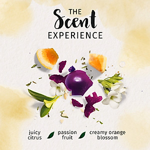 Herbal Essences bio:renew Passion Flower & Rice Milk Nourishing Shampoo, 13.5 fl oz