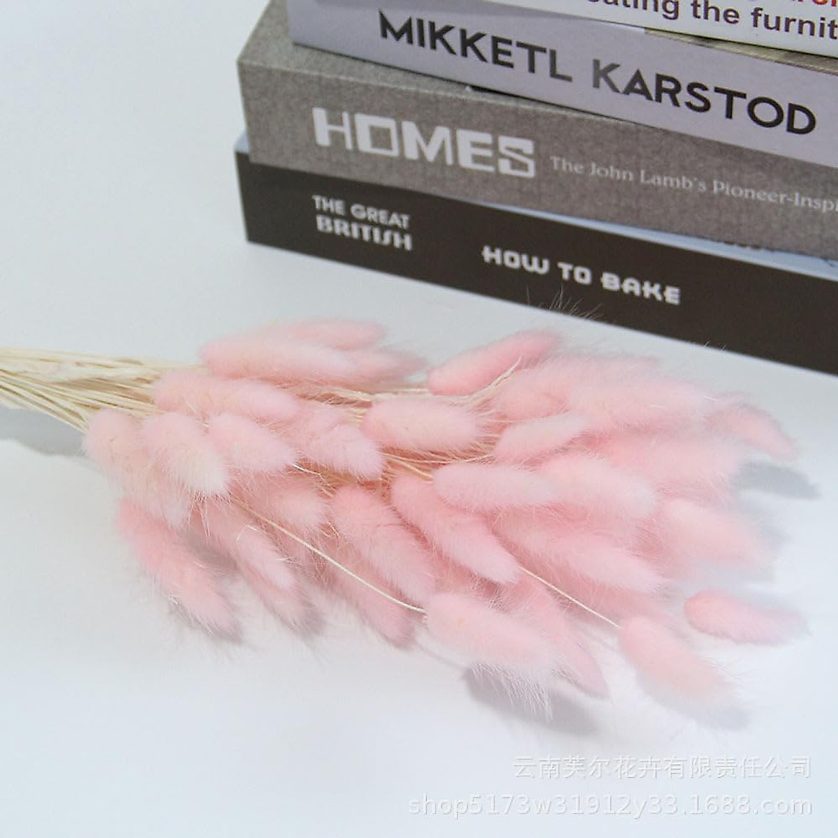 60PCS Rabbit Tail Grass Dried Flowers Dried Natural Floral Arrangement Bunch Decoration Dried Grass,Eternal Flower Dried Grass for Home,Wedding,Party,Flower Bouquet,Photo Props Decor (Light Pink)