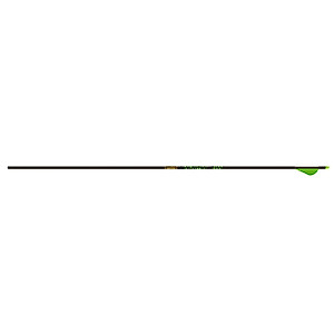 Gold Tip Velocity XT Arrows with Raptor Vane (Pack of 6), Black, 300