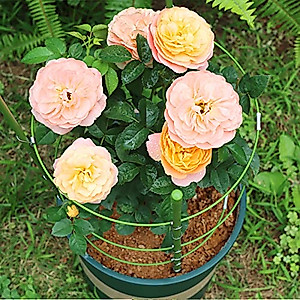 LEOBRO 2 Pack Plant Support Tomato Cage, Rust Resistant Tomato Cages for Garden, Small Cucumber Trellis Plant Support Plant Cages Plant Stake for Tomato, Climbing Plant, Flower, Seedlings, 17.7" H