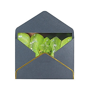 PAILON Green Snake Thank You Cards With Envelopes, Blank Greeting Note Cards With Envelopes Blank Inside, Funny Birthday Cards For Women Men, Thank You Card For Wedding Business,Graduation