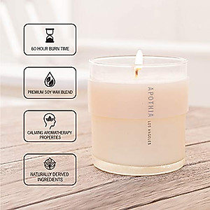 APOTHIA - Chrismukkah Candle | Fresh Green Fir & Cloves I Award Winning Scented Candles with Premium Soy Wax Blend I 60 Hour Long Burning I 9 oz I Small Batches for Luxury Quality in Decorative Jar