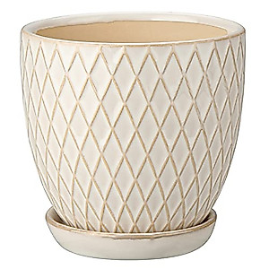 Oairse 4 inches Ceramic Planter Pots 3 Set of Small Round Flower Pots with Drainage Hole and Ceramic Tray for Succulents Cactus Indoor Outdoor Garden Home Windowsill