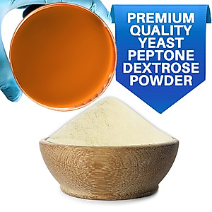 Yeast Peptone Dextrose (YPD) Agar Plates - Evviva Sciences - Great for Yeast Cultivation - 10 Prepoured YPD Petri Dishes - Great for Science Projects