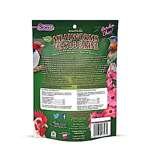 F.M. Brown's Garden Chic. Dried Mealworms for Wild Birds and Chickens - 3oz
