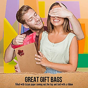 WDC Brown paper bags with handles bulk, 75 craft bags, 25 each (large, medium & small). Plain paper bags great for shopping, gift bag with assorted sizes