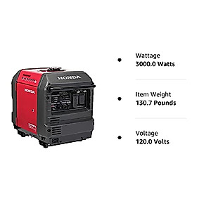 Honda EU3000IS1AG 3000W Gasoline Inverter Portable Generator w/CO-MINDER