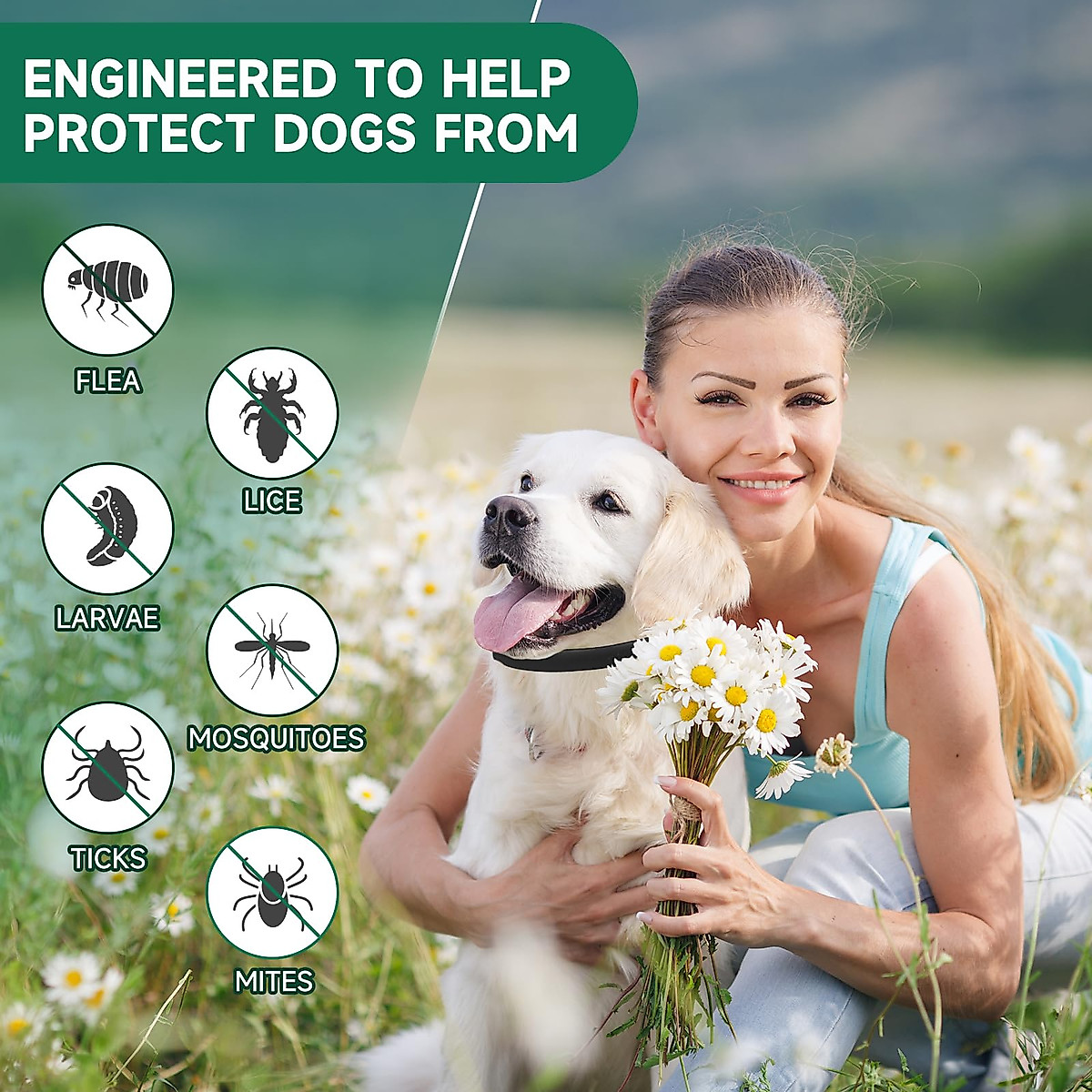 4 Pack Flea Collar for Dogs, Dog Flea and Tick Treatment, 8 Months Protection Flea and Tick Collar for Dogs, Waterproof Dog Flea Collar, Adjustable Collar Flea and Tick Prevention for Dogs,Black