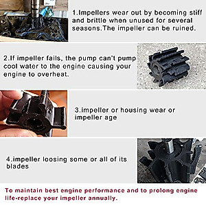 BDFHYK 393630 Water Pump Impeller Repair Kit with Housing for Johnson Evinrude, 2-Stroke(20,25,30,35 Hp) Outboard Engines Replace 393630,0393630,Sierra 18-3382