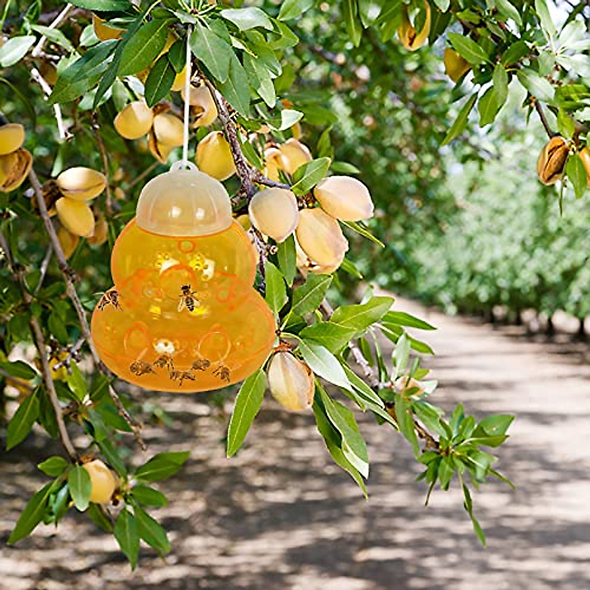 2 Pack Wasp Traps, Yellow Jacket Killer Bee Traps for Outside,Wasp Carpenter Bee Catcher Fly Trap