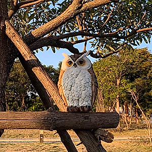 TOLATR Owl Statue Scare Bird Away from Garden Clearance Resin Owl Birds Deterrents Halloween Outdoor Decoration for Garden Lawn Yard Table Decor Gift for Owl Lovers (8.3 Inch)