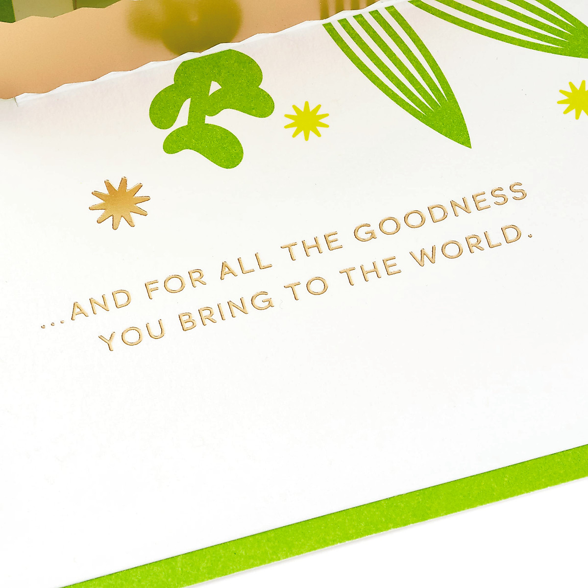 Hallmark Signature Paper Wonder Pop Up Thank You Card, Succulents (Nurses Day Card, Teacher Appreciation, Healthcare Worker Gift) (1299RZH1132)