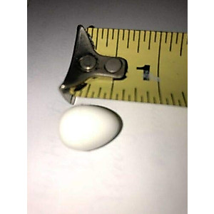 20 Bird Plastic Fake Dummy Eggs 16 mm x 12 mm 5/8" x 1/2" Canary Finch Small Birds