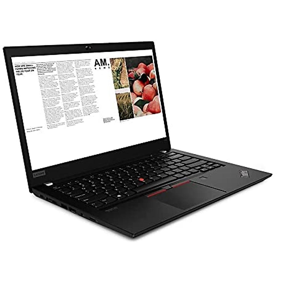 Lenovo Latest ThinkPad T14 14" FHD IPS AMD 6-Core Ryzen 5 Pro 4650U(Beat i7-1165G7), 16GB RAM, 512GB PCIe SSD, Business Laptop, Windows 10 Pro/Windows 11 Pro, IST Cable