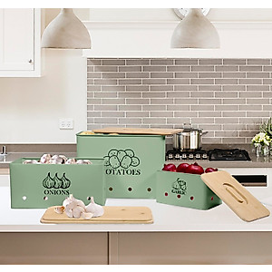 Xbopetda Canister Sets for Kitchen Counter, Kitchen Canisters Set of 3 for Potato Onion Garlic, Kitchen Storage Bin Jars Pots with Aerating Tin Storage Holes & Wooden Lid (Green)