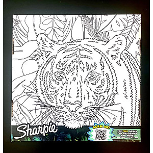 Sharpie Special Limited Edition Permanent Marker, Fine Point and Ultra Fine Point, 30 count