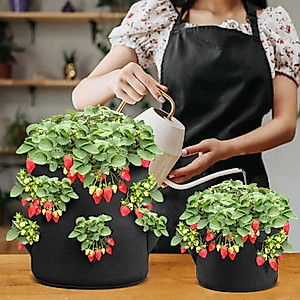 iPower 2-Pack 10 Gallon Strawberry Grow Bags, Vegetables Pots with 8 Planting Holes, Thickened Breathable Nonwoven Fabric with Handles, for Gardening
