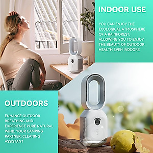 Microionxyz F8-AR Anion fans，air purifier machine ，No Consumables，Remove smoke，pollen，odor，suitable for Living room, office,automotive，travel，petting room, (F8-purifier)