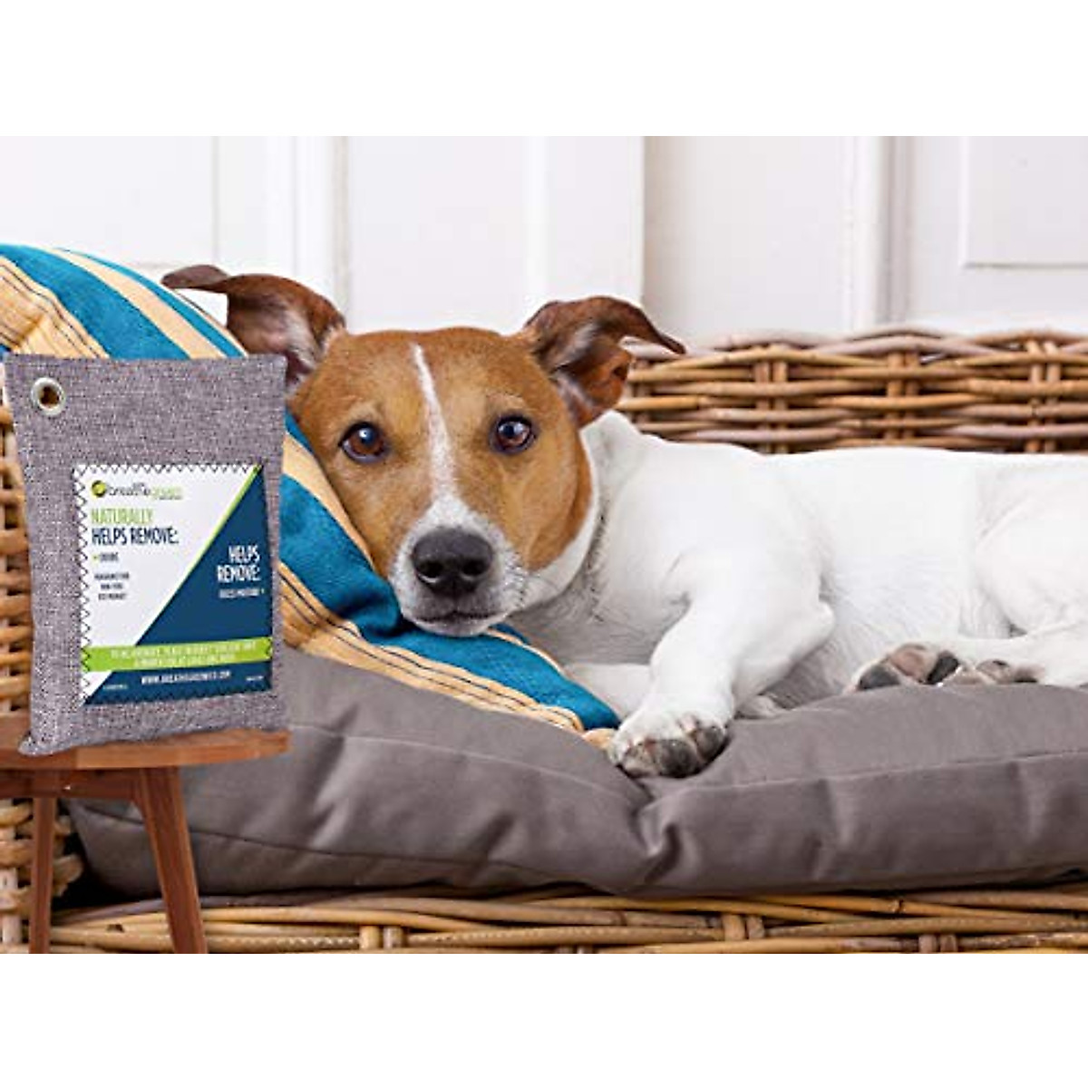 Breathe Green Bamboo Charcoal Odor Eliminator Bag (3 Bags), Activated Charcoal Odor Absorber, Natural Freshener Removes Odors and Moisture, Odor Eliminator for Home, Pets, Car, Closet, Basement, RV