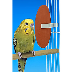 Penn-Plax Bird-Life Flavored E2 Cuttlebone 2 Pack – Mango and Banana – Great for All Birds