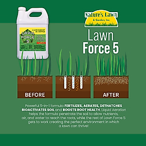 5-in-1 Natural Liquid Lawn Fertilizer Aerator Dethatcher Humic Acid Kelp Mycorrhizae – Lawn Force 5 – Nature’s Lawn & Garden - 1 Gal